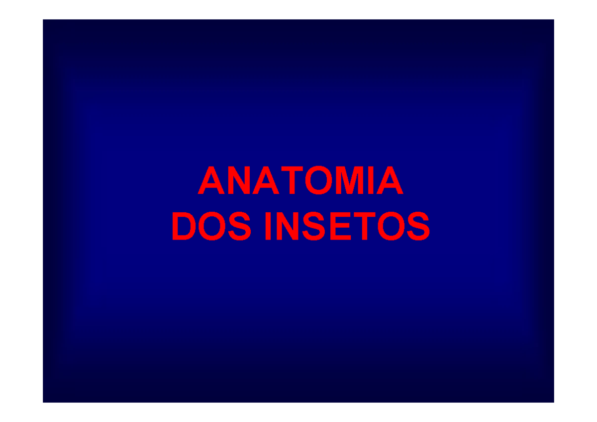 Anatomia dos Insetos - ANATOMIA DOS INSETOS DIGESTIVO / EXCRETOR ...