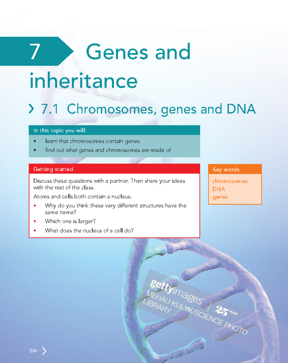 Genes and Inheritance: Chromosomes, DNA, and Gametes (3) - Studocu