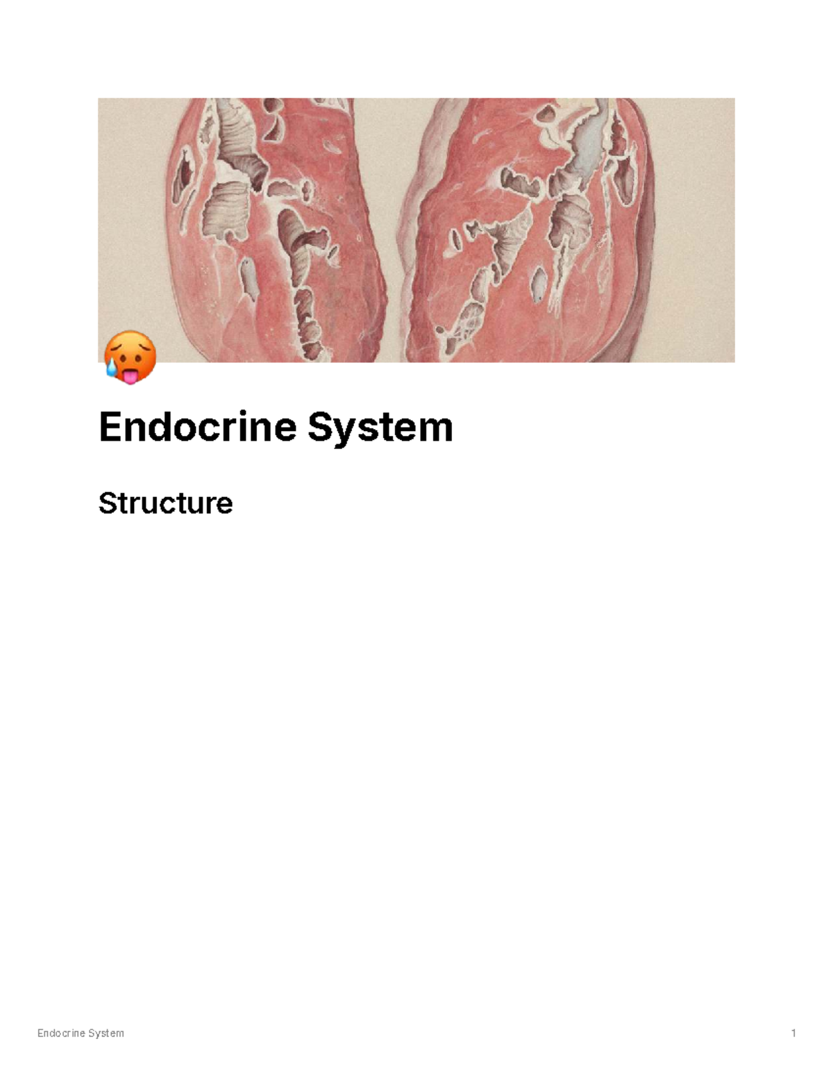 Endocrine System Notes: Structure, Function, and Hormonal Signaling ...