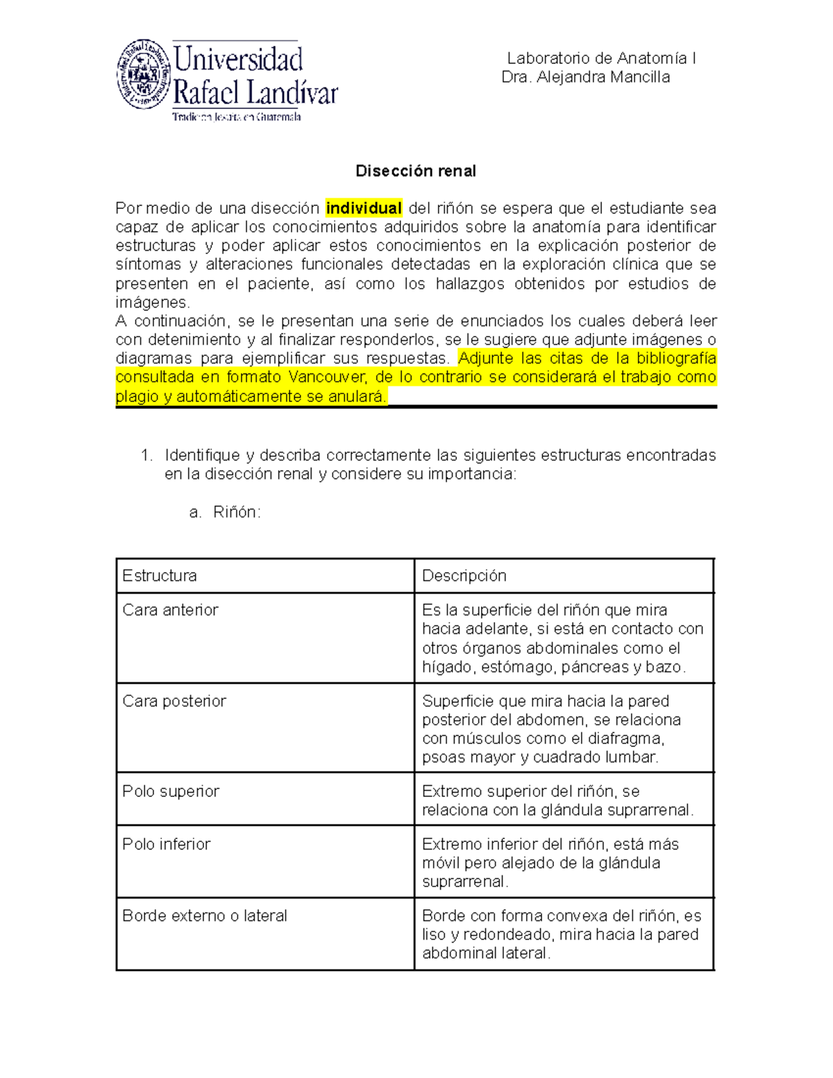 Laboratorio de Anatomía I: Disección del Riñón - Dra. Alejandra ...
