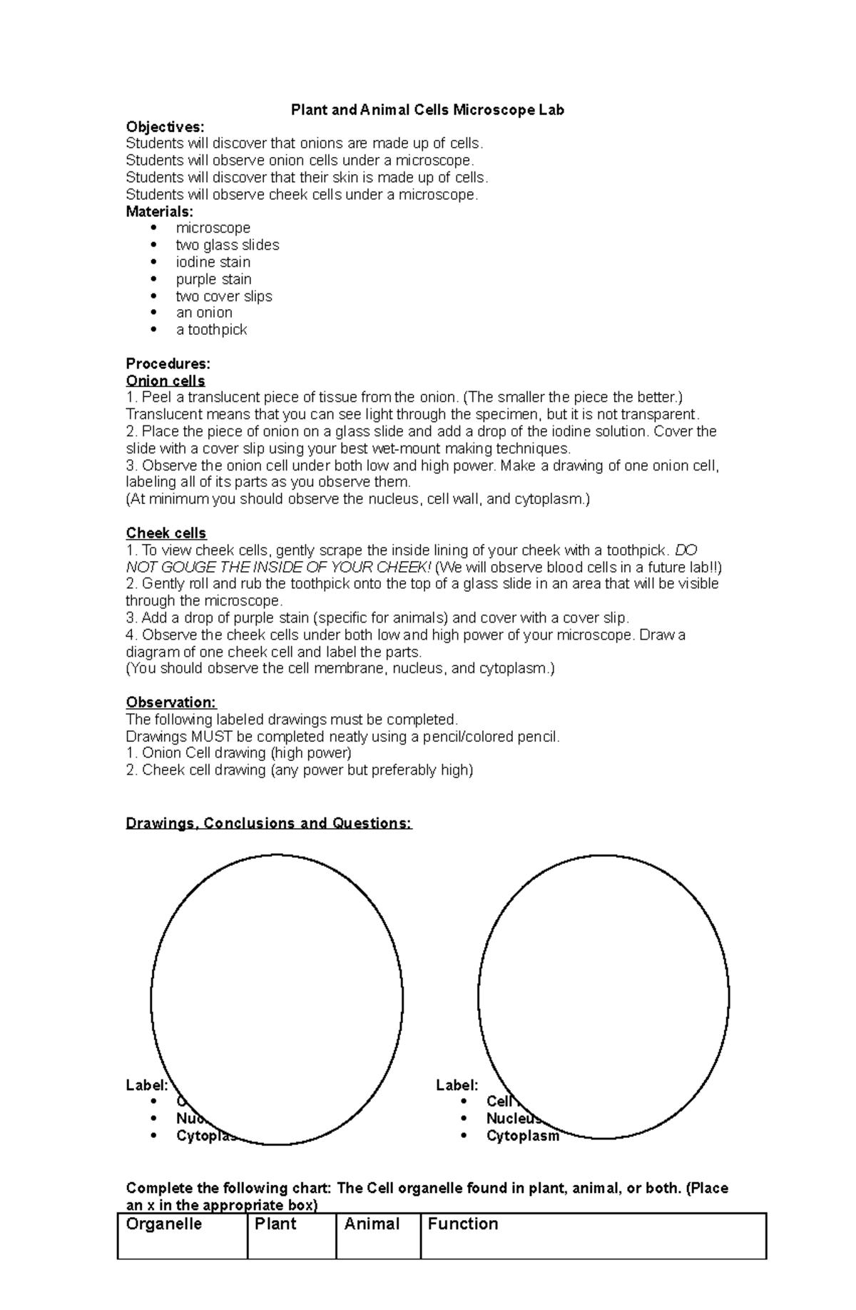 Onion cheek lab - Histology Laboratory Sheet - Plant and Animal Cells ...