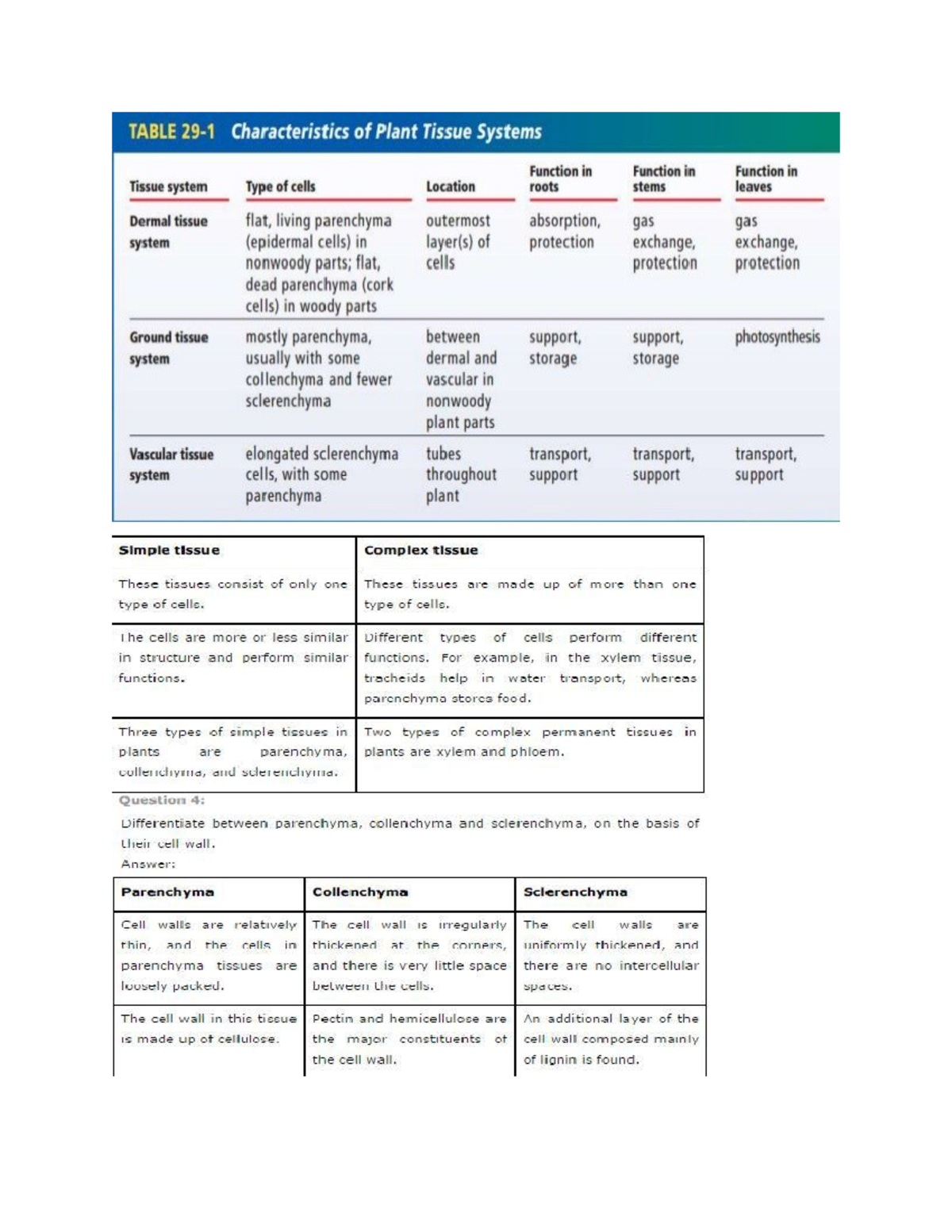 Plant Tissue Systems Overview - Side Notes (BIO101) - Studocu
