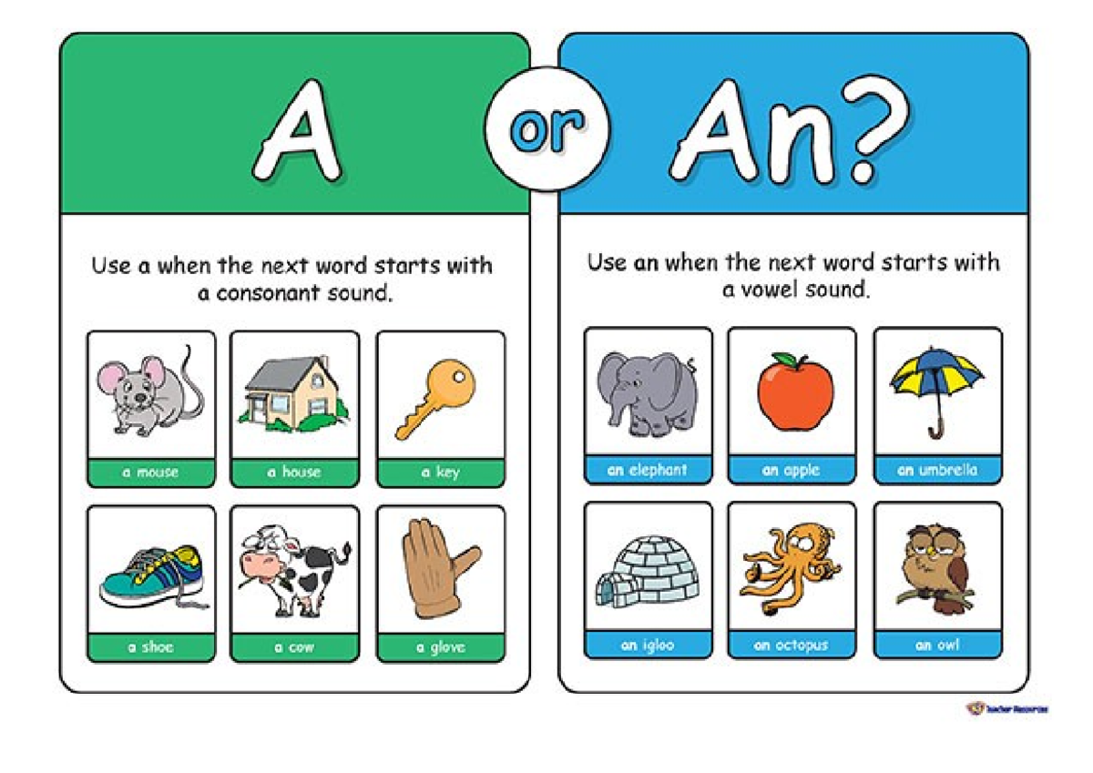 Use of a and an - Reviweing english notes - Bachelor of Elementary ...