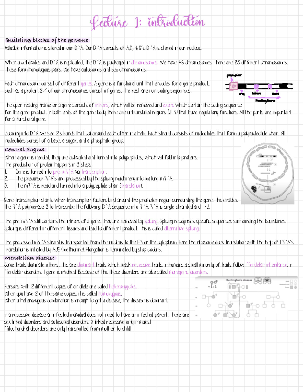 Genetics and Genomics: Lecture Notes on Gene Structure & Function ...
