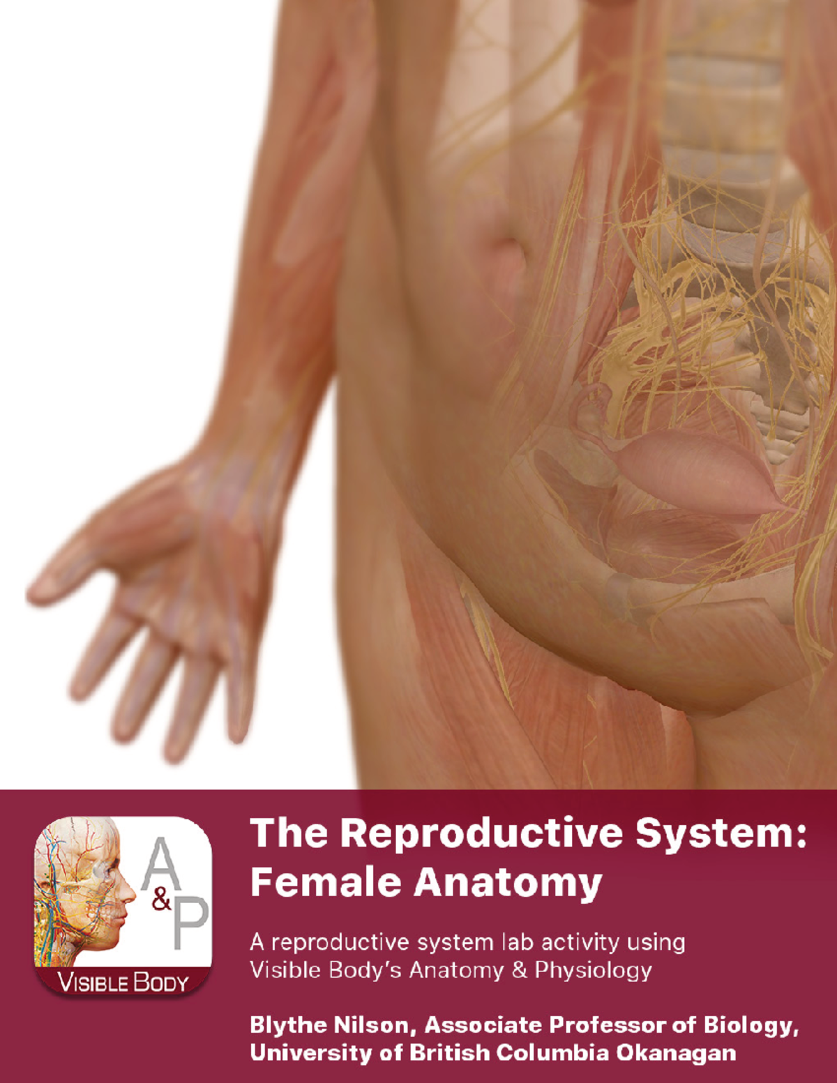 ANAT 103 Final Exam: Female Reproductive System Overview - Studocu