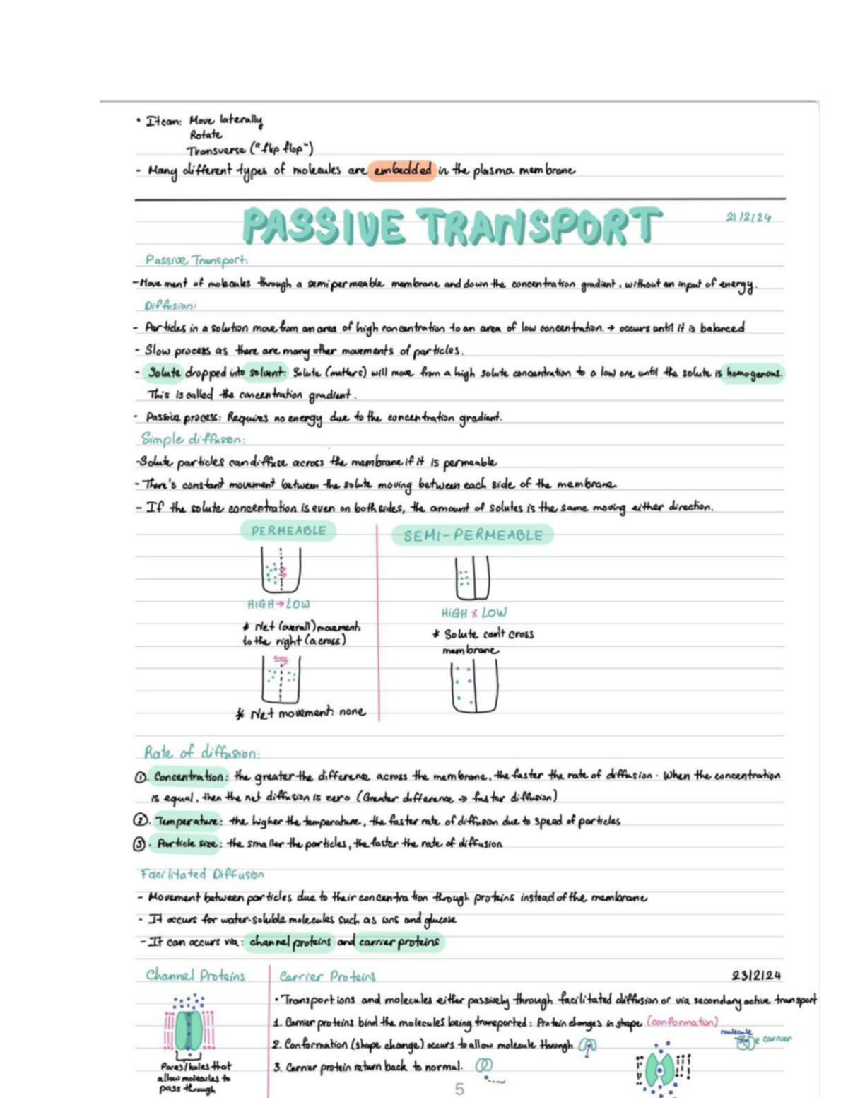 Passive Transport Mechanisms in Cell Membranes: A Study Guide - Studocu