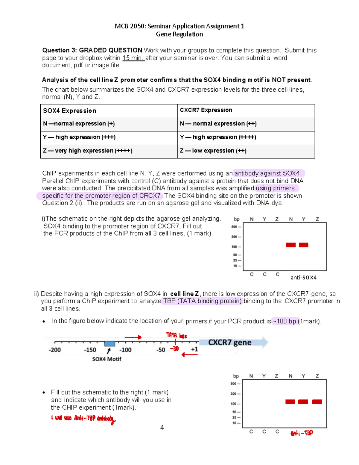 MCB 2050: Seminar Assignment 1 - Gene Regulation Analysis - Studocu
