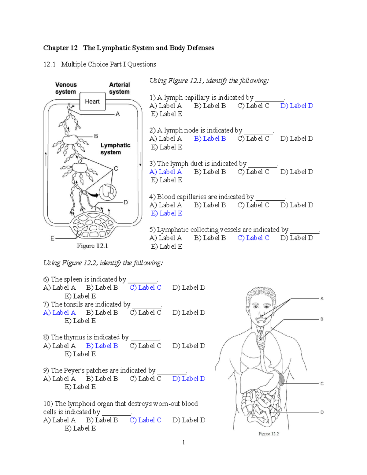 Reviw for Final Examination Bio 2404 (1) 3 - Chapter 12 The Lymphatic ...