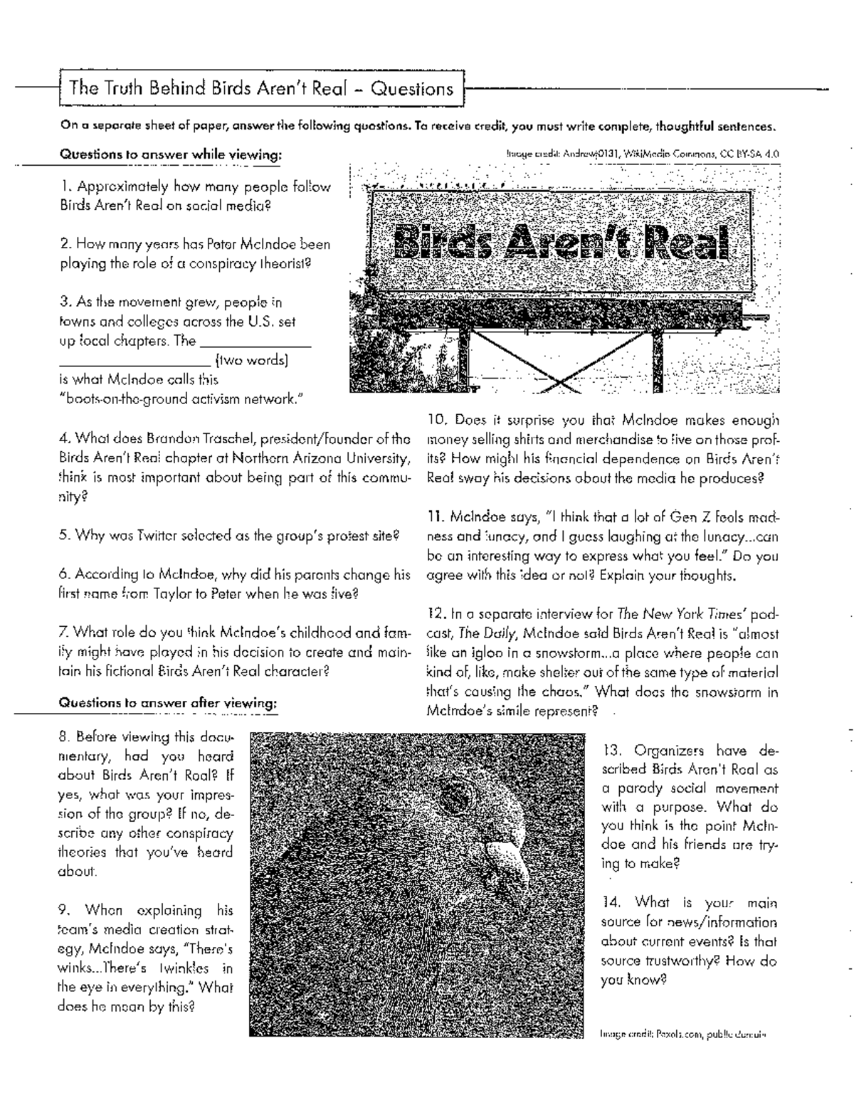 LANAR 054830: Exploring Questions from "Birds Aren't Real" Video - Studocu