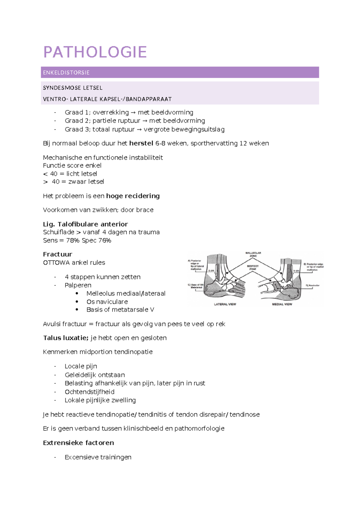 Pathologie 3 - Samenvatting van Letsels en Behandelplan - Studeersnel