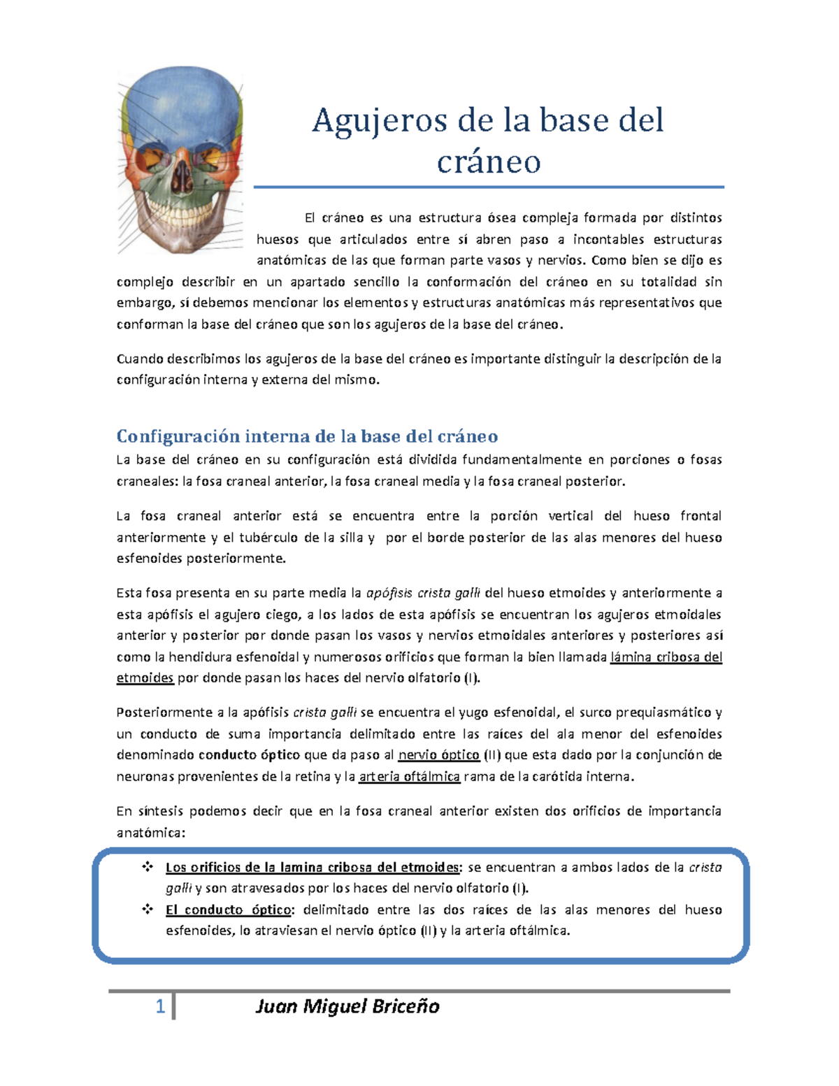 Agujeros de la Base del Cráneo: Anatomía y Configuración Interna y ...