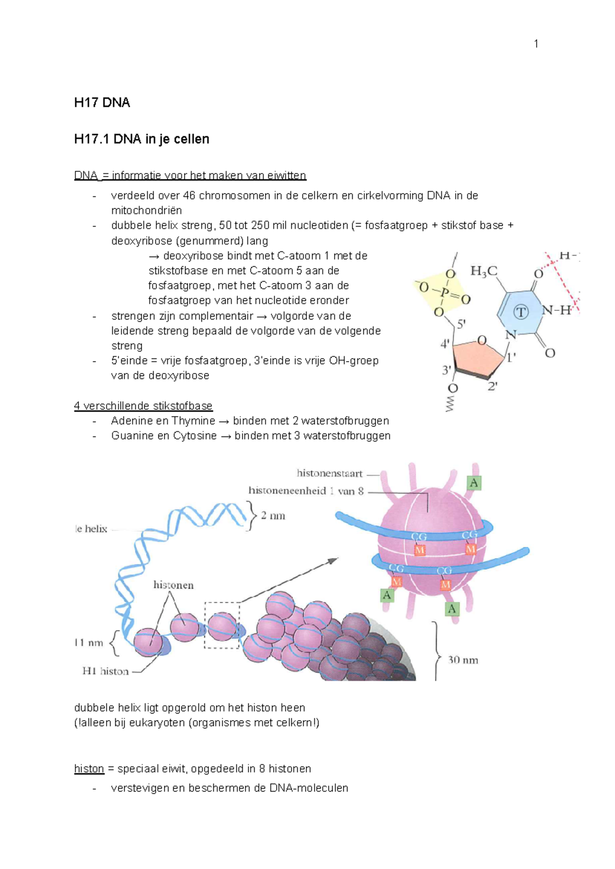 Bio 6v H17, H18, & H21 - DNA Structuur en Genregulatie Notities ...