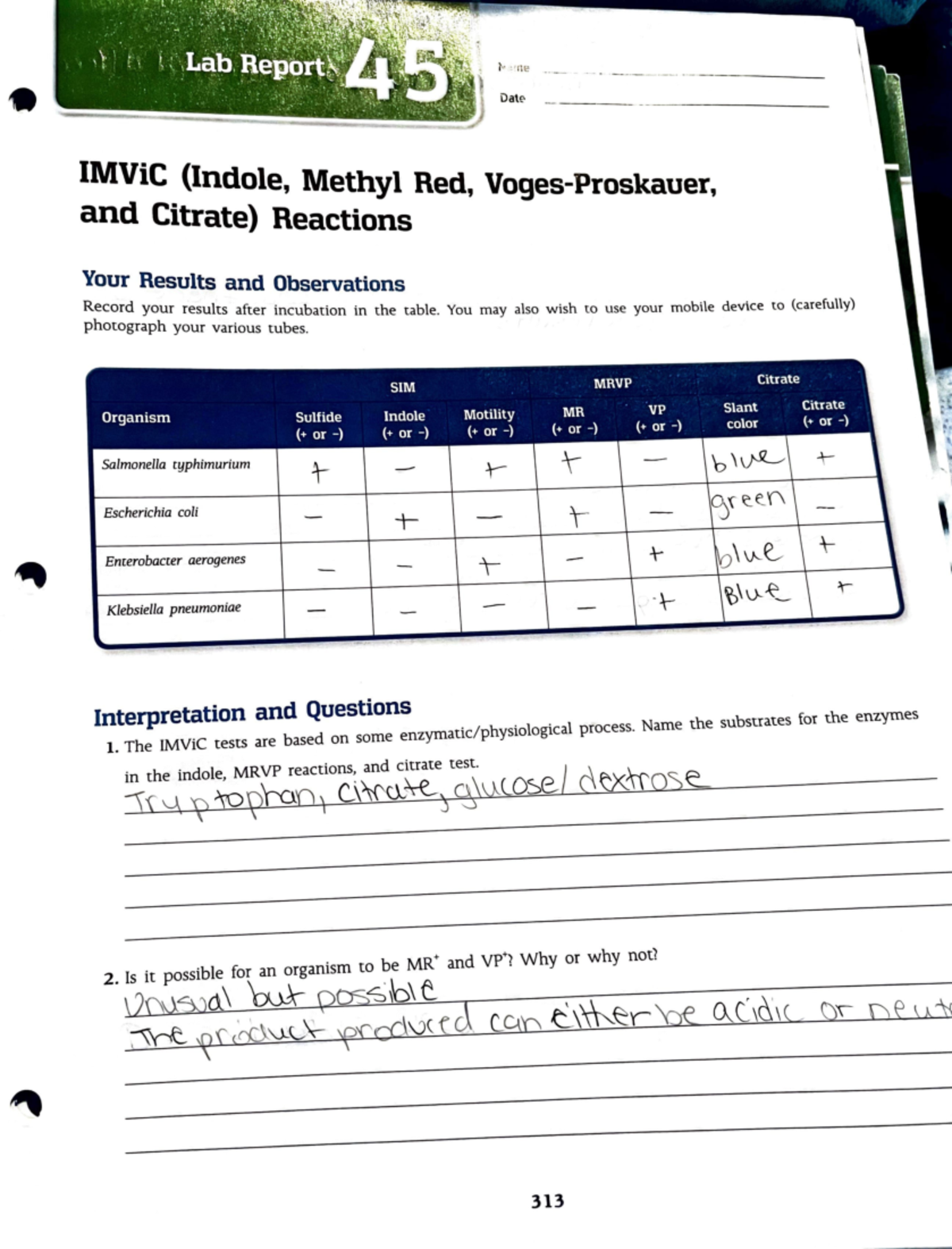 Imvic Lab - multi specimen lab - IMViC (lndole Meth and c·t ) ' yl Red ...