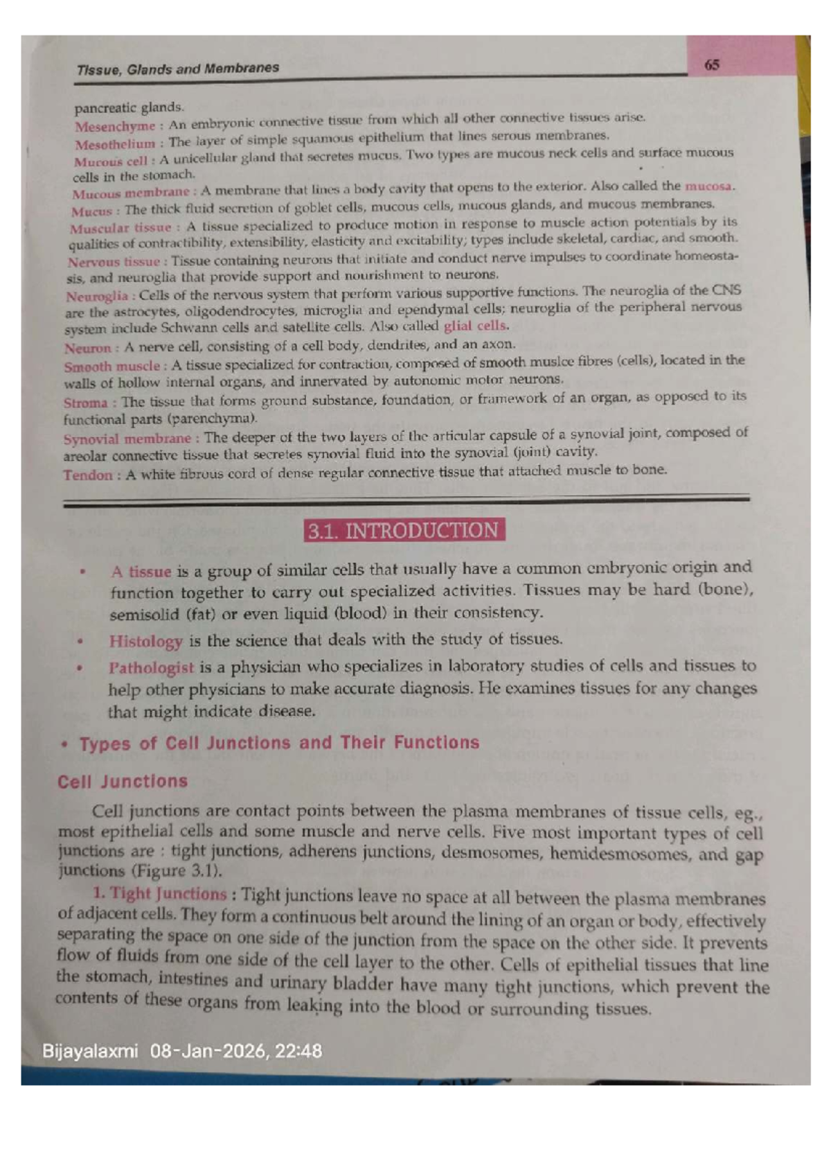 Anatomy of Tissues, Glands, and Membranes: A Comprehensive Study - Studocu
