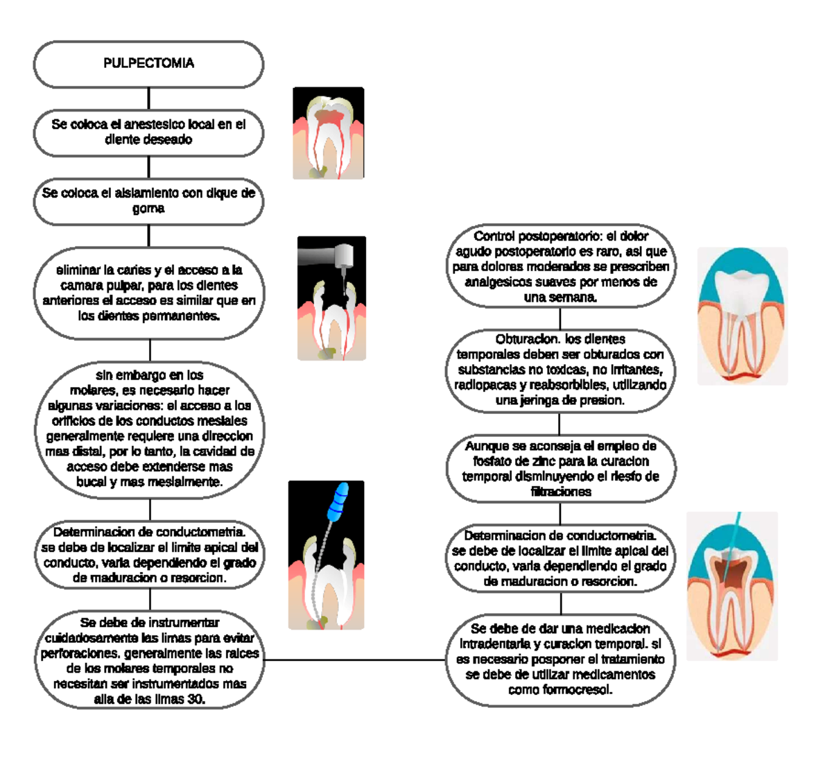 Pasos para realizar una Pulpectomía en Dientes Temporales - Studocu