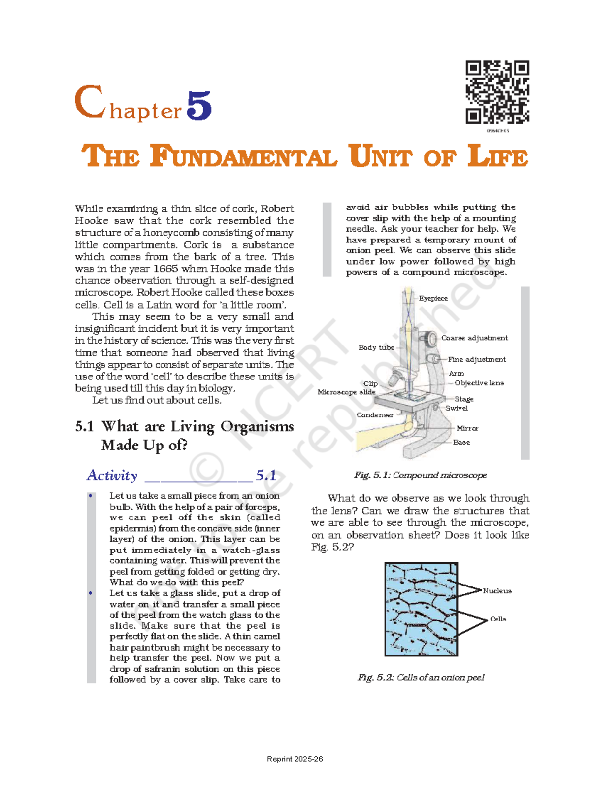 Biology 101: Chapter 5 - The Fundamental Unit of Life - Studocu