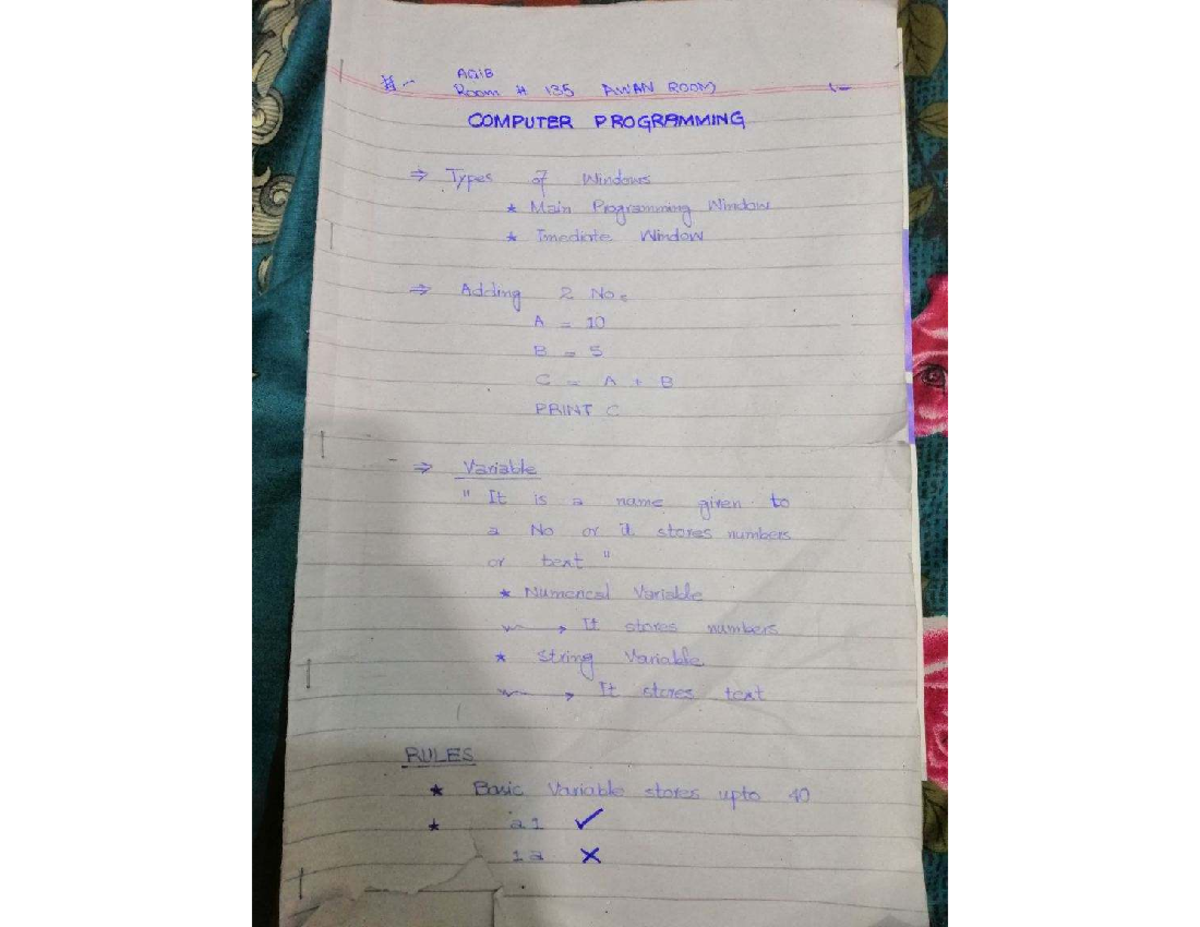 Computer Programming (AQiB) - Room 135 Overview and Concepts - Studocu