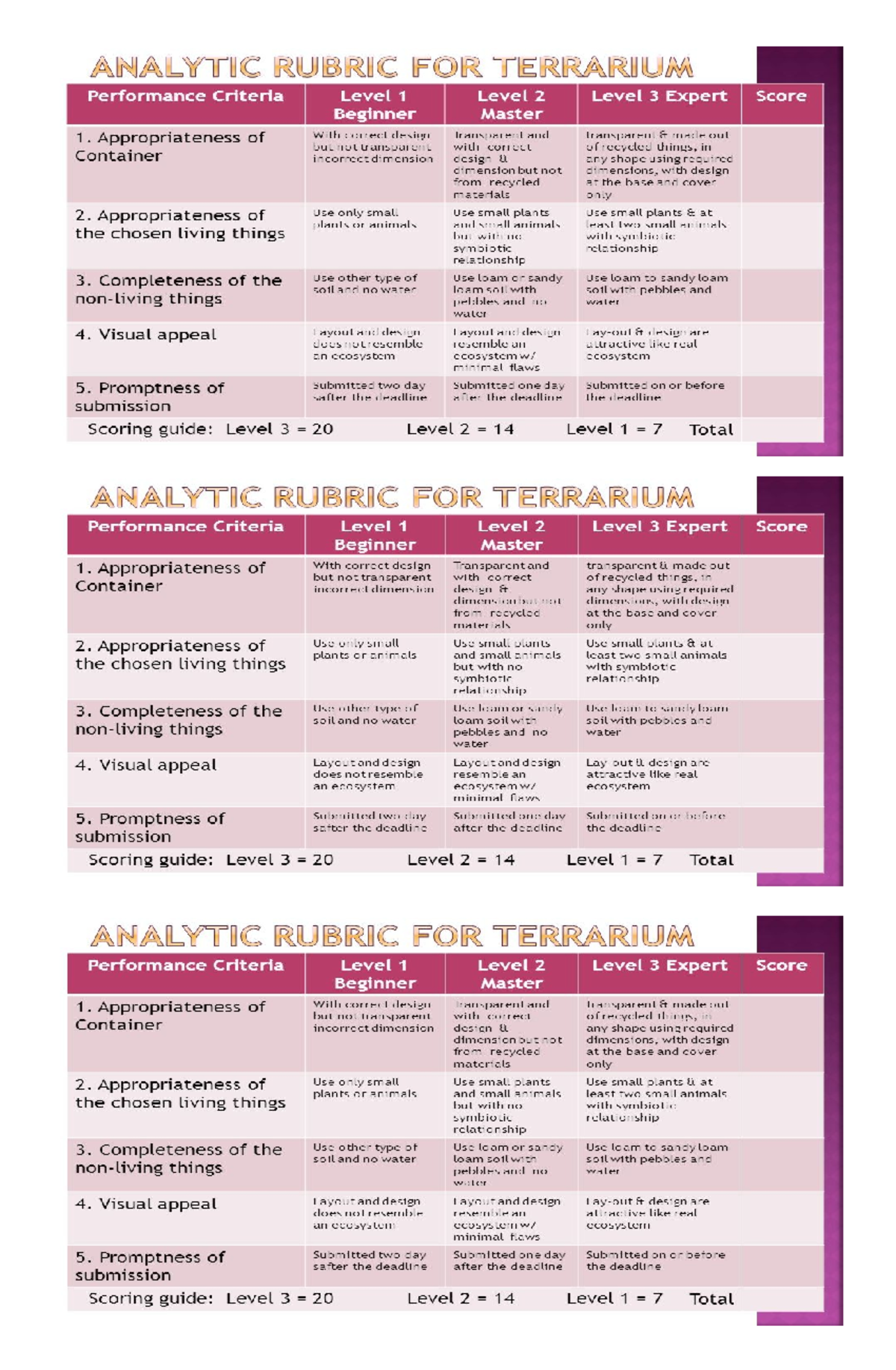 Analytic Rubric for Terrarium Project Assessment - Studocu