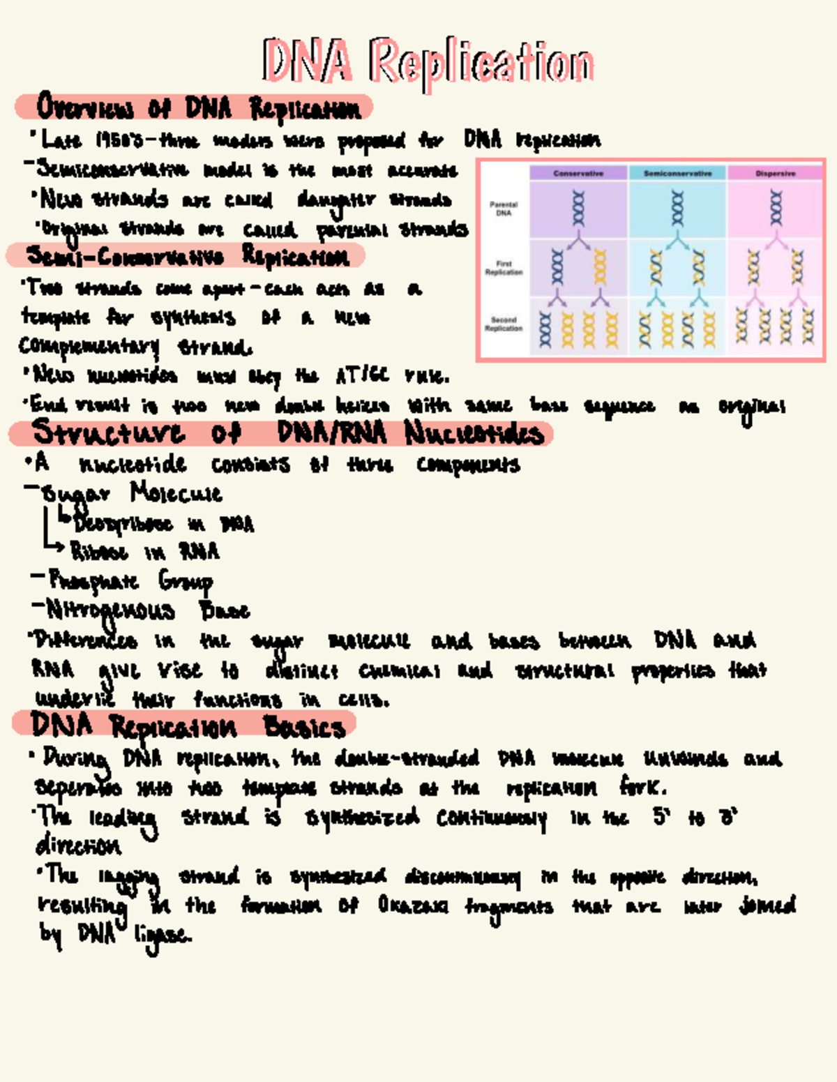BIO101 Lecture Notes: DNA Replication Mechanisms and Overview - Studocu