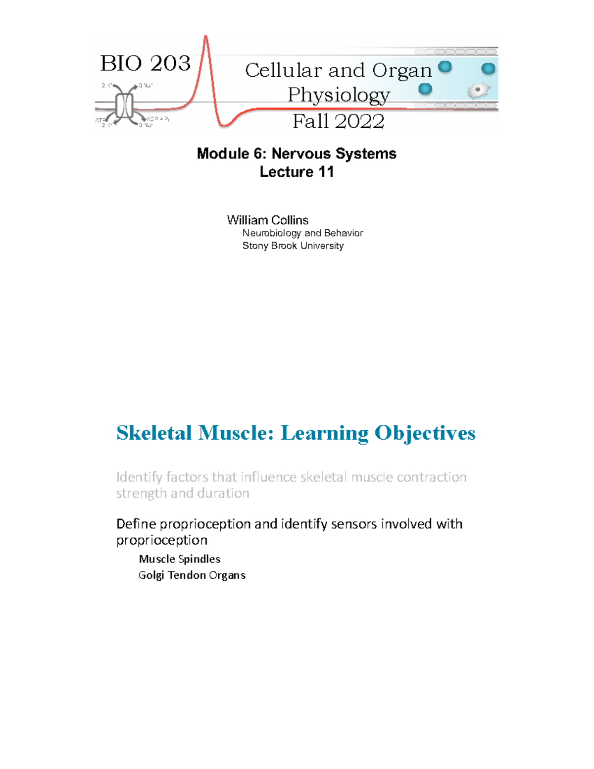 BIO 203 F22 Module 6: Nervous System Lecture Notes - Studocu
