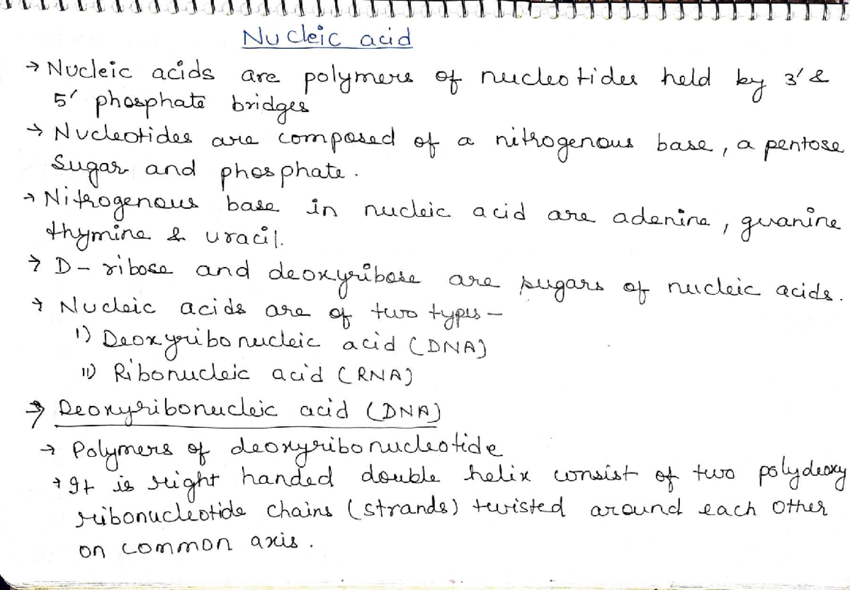 Nucleic Acids: Biochemistry Insights on Structure and Function - Studocu