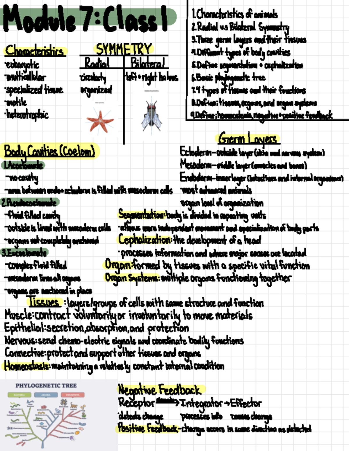 Module 6 Class 3 - 1. Characteristics of animals Module]: Class 2 ...