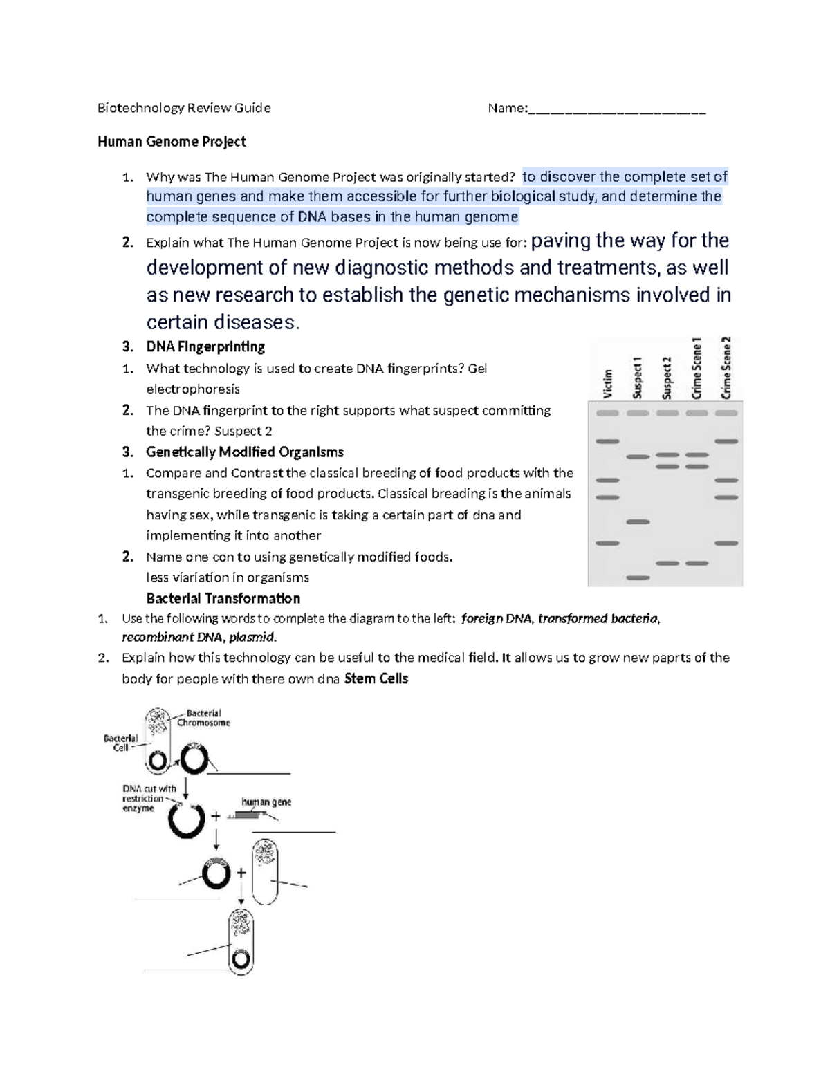 Biotechnology Review Guide: Human Genome Project & Genetic Techniques ...