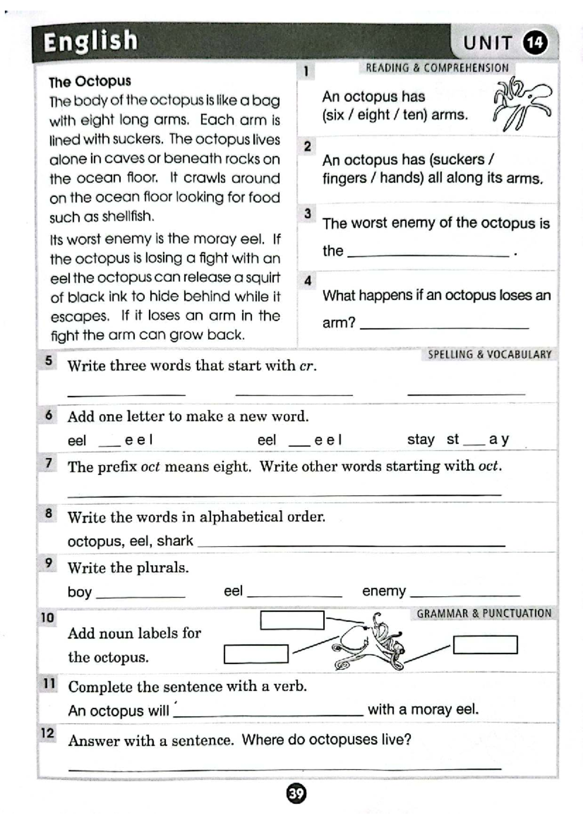 English Unit 14: Reading Comprehension on the Octopus - Studocu