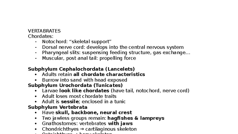 Vertebrates: Chordate Characteristics and Classifications Overview ...