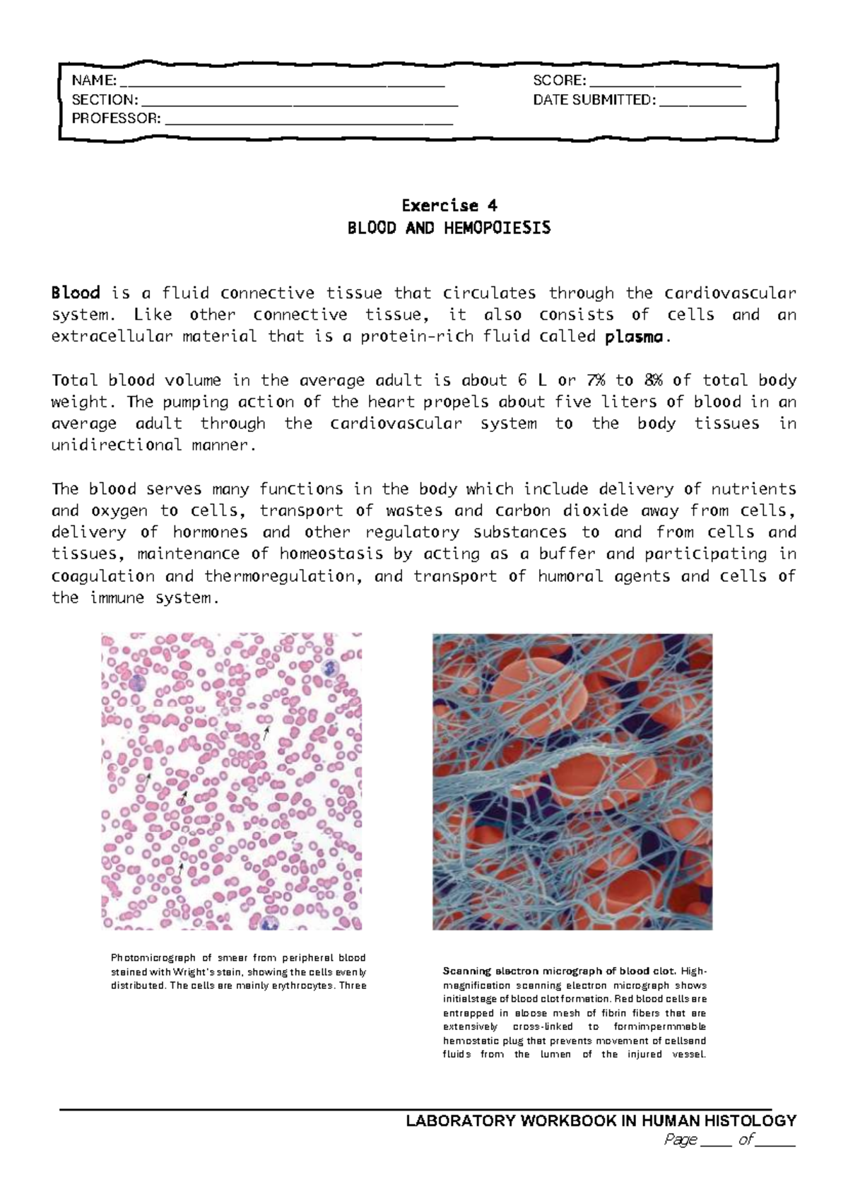 HIST 101: Exercise 4 - Blood and Hemopoiesis Overview - Studocu