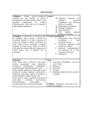 Siphonaptera - pulgas - Morfologia das formas evolutivas, ciclo ...