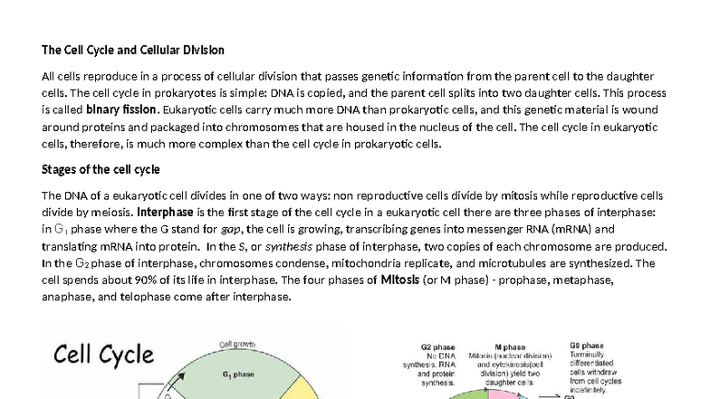 The Cell Cycle & Division: Key Concepts & Checkpoints - Studocu