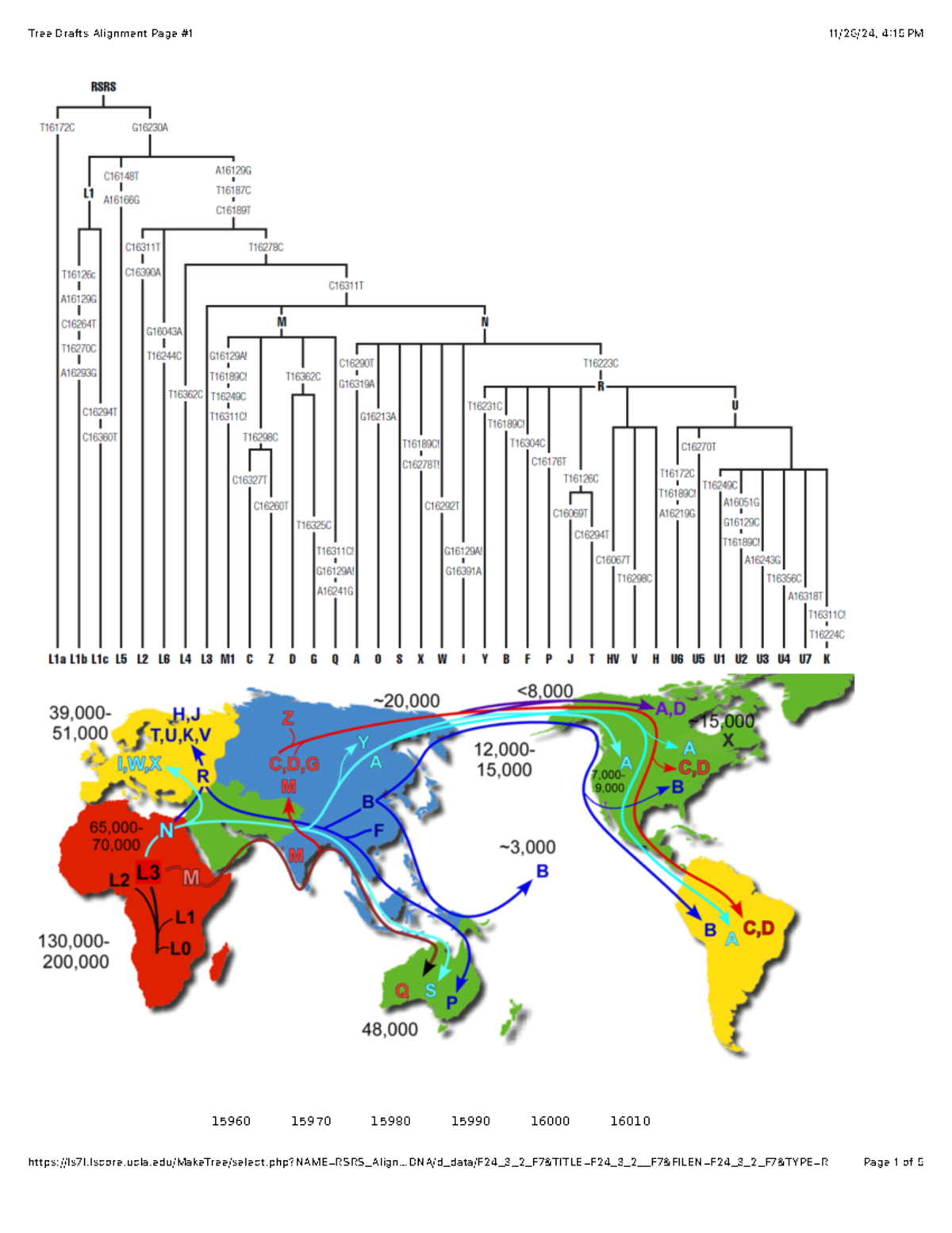 Tree Drafts Alignment Page #1 ...