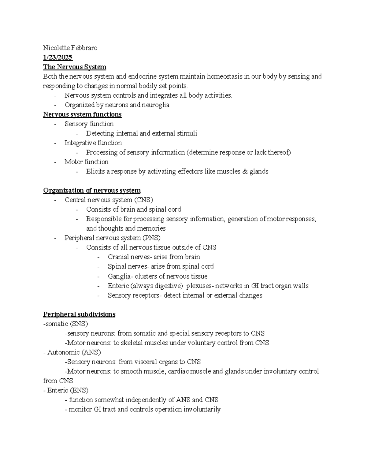 Nervous System Overview: Structure, Function, and Signal Transmission ...