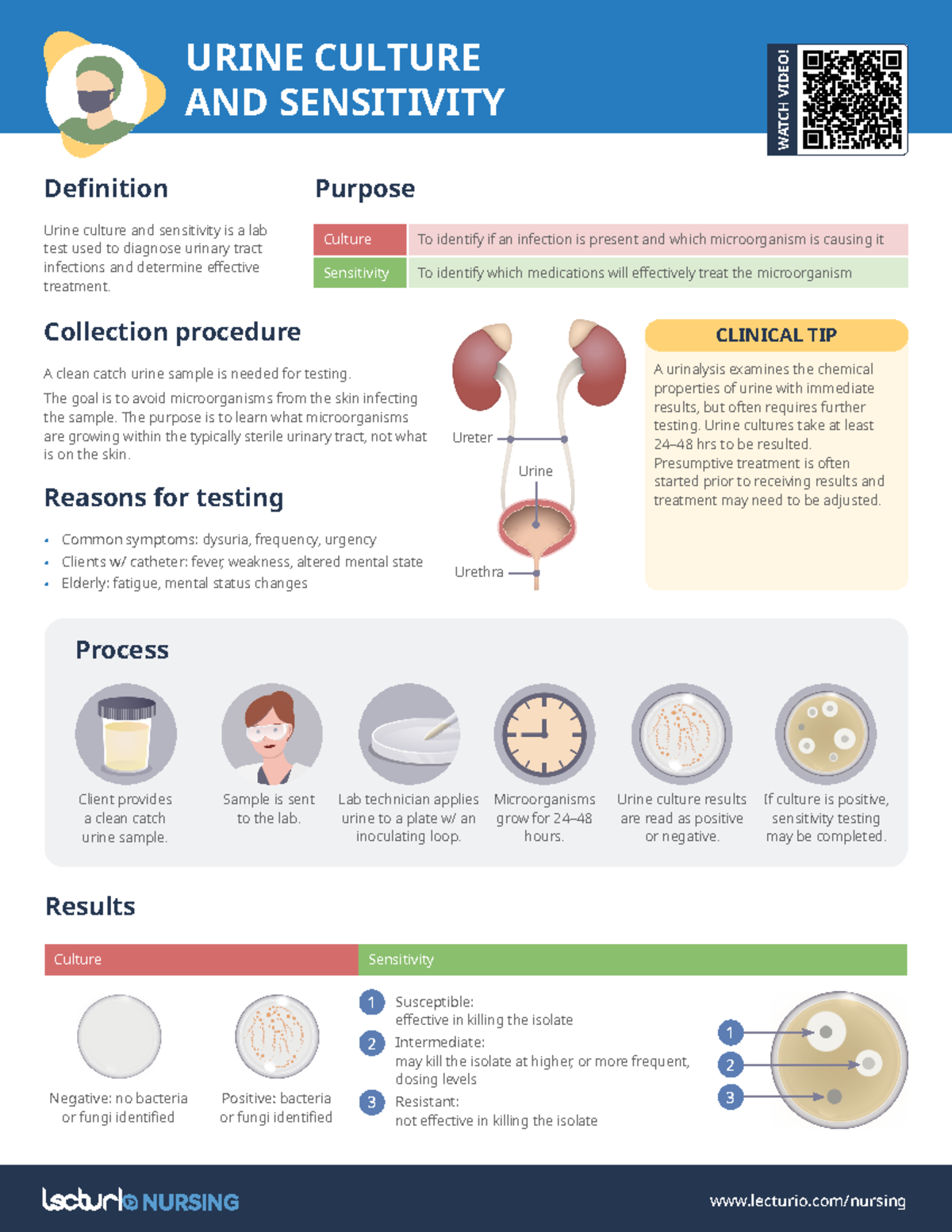 Nursing CS Urine Culture and Sensitivity 01 - lecturio/nursing URINE ...