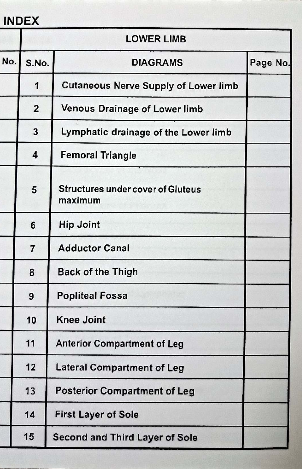 Gross anatomy of the lower limb: diagrams and nerve supply details ...