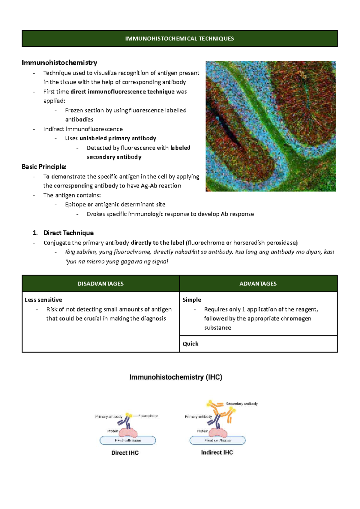 Histopath - Seminar 2: Immunohistochemical Techniques Overview - Studocu