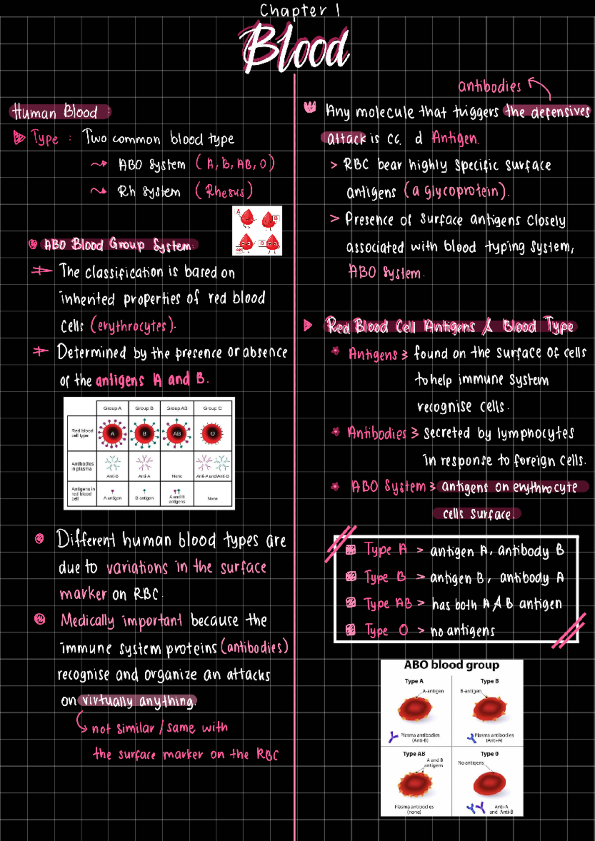 BIO310 CHP1 - summary note - Introduction To Human Biology - Studocu