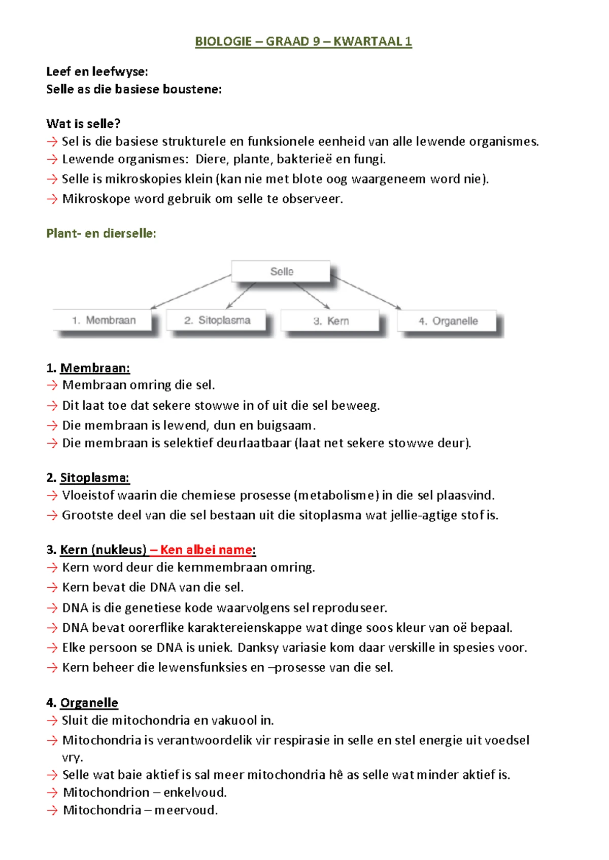 Grade 10 Life Sciences Exam Guidelines 2025 (RATP) Overview and Content ...