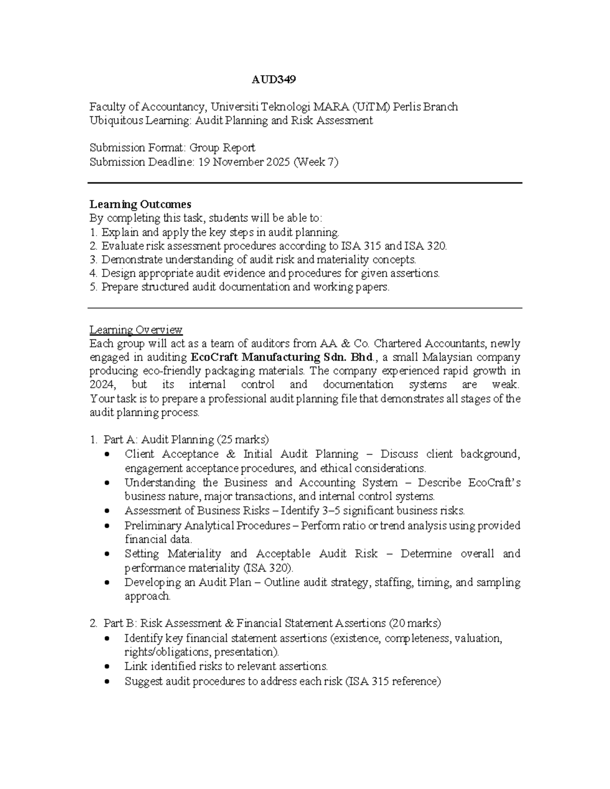AUD349 Group Report: Audit Planning & Risk Assessment Guide - Studocu