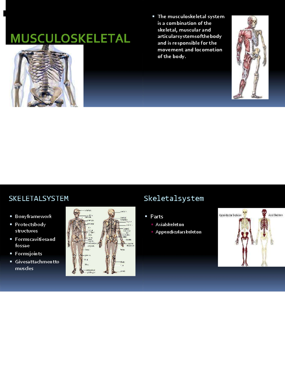 Physiology of the Musculoskeletal System: Key Concepts and Functions ...