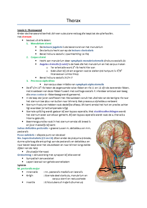 Samenvatting Human Pathology: anatomie - Anatomie Borstkas Sternum ...