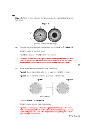 GCSE+Biology+Paper+1+Model+Answer+Booklet - NAME CLASS GCSE BIOLOGY PAPER 1 Model Answer Booklet ...
