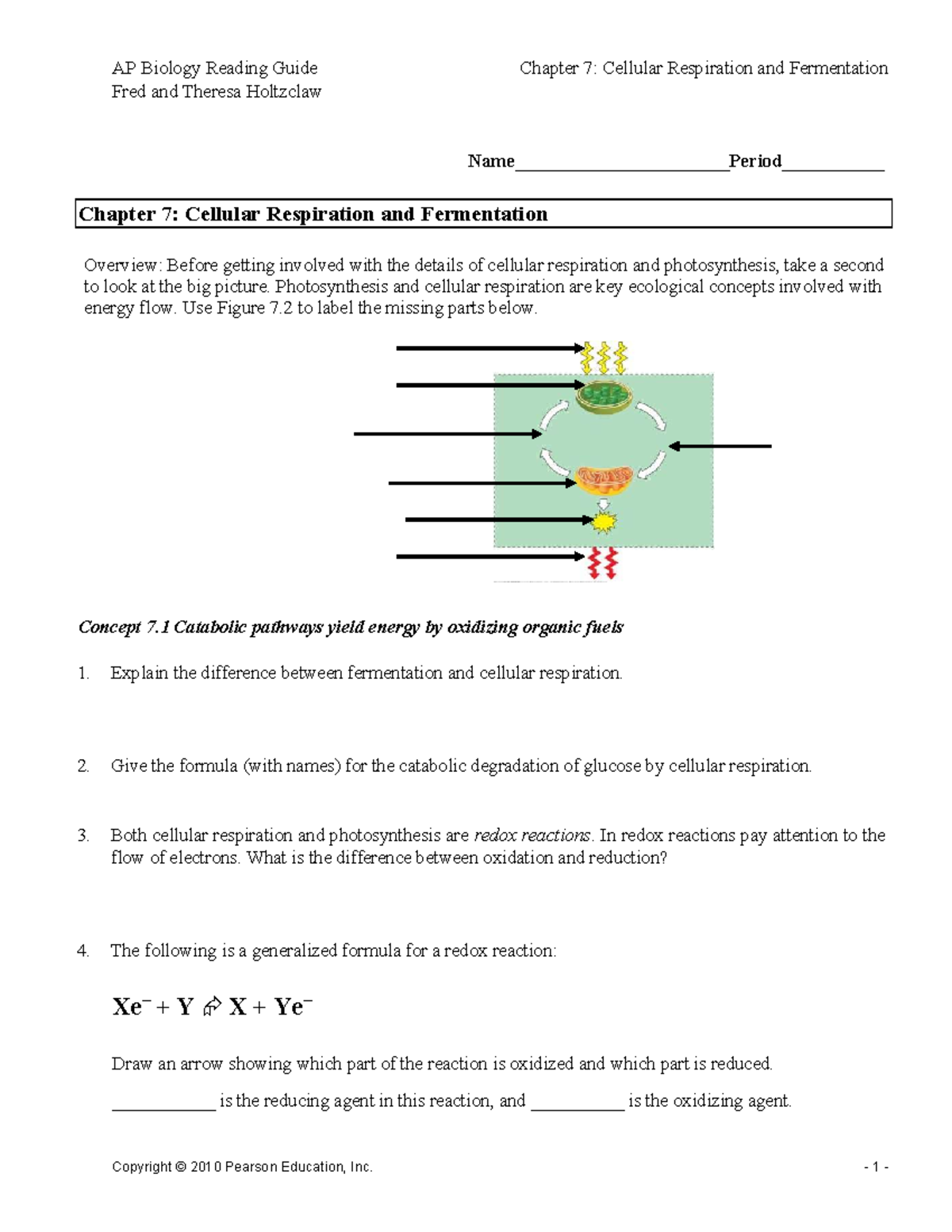 Chapter 7 (BIF) Reading Guide: Cellular Respiration & Fermentation ...