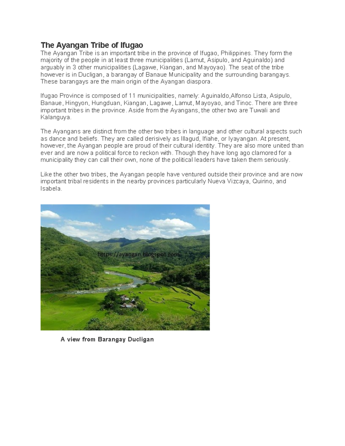 The Ayangan Tribe of Ifugao: Cultural Identity and Significance - Studocu