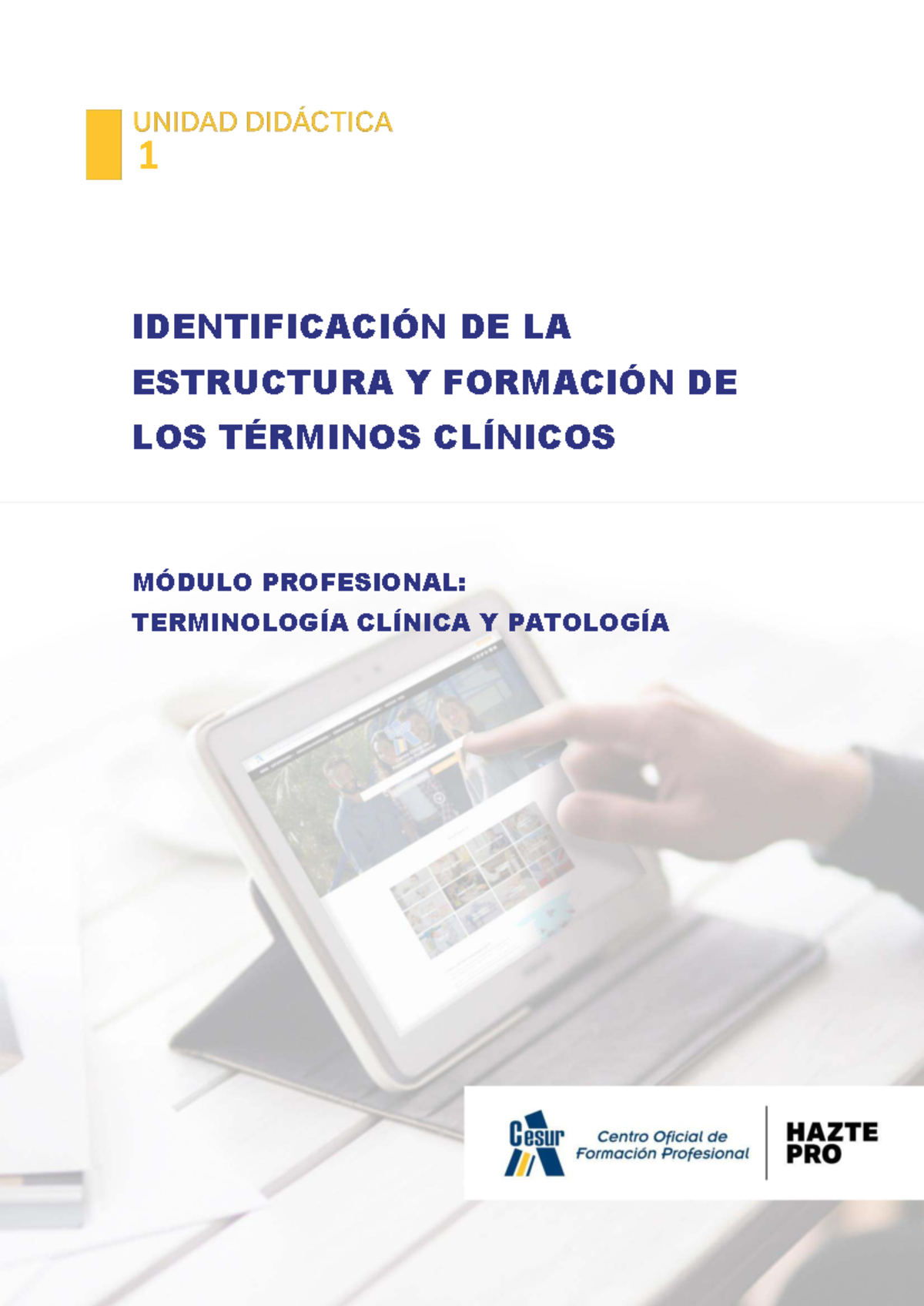 Identificación y Formación de Términos Clínicos: Módulo Profesional en ...