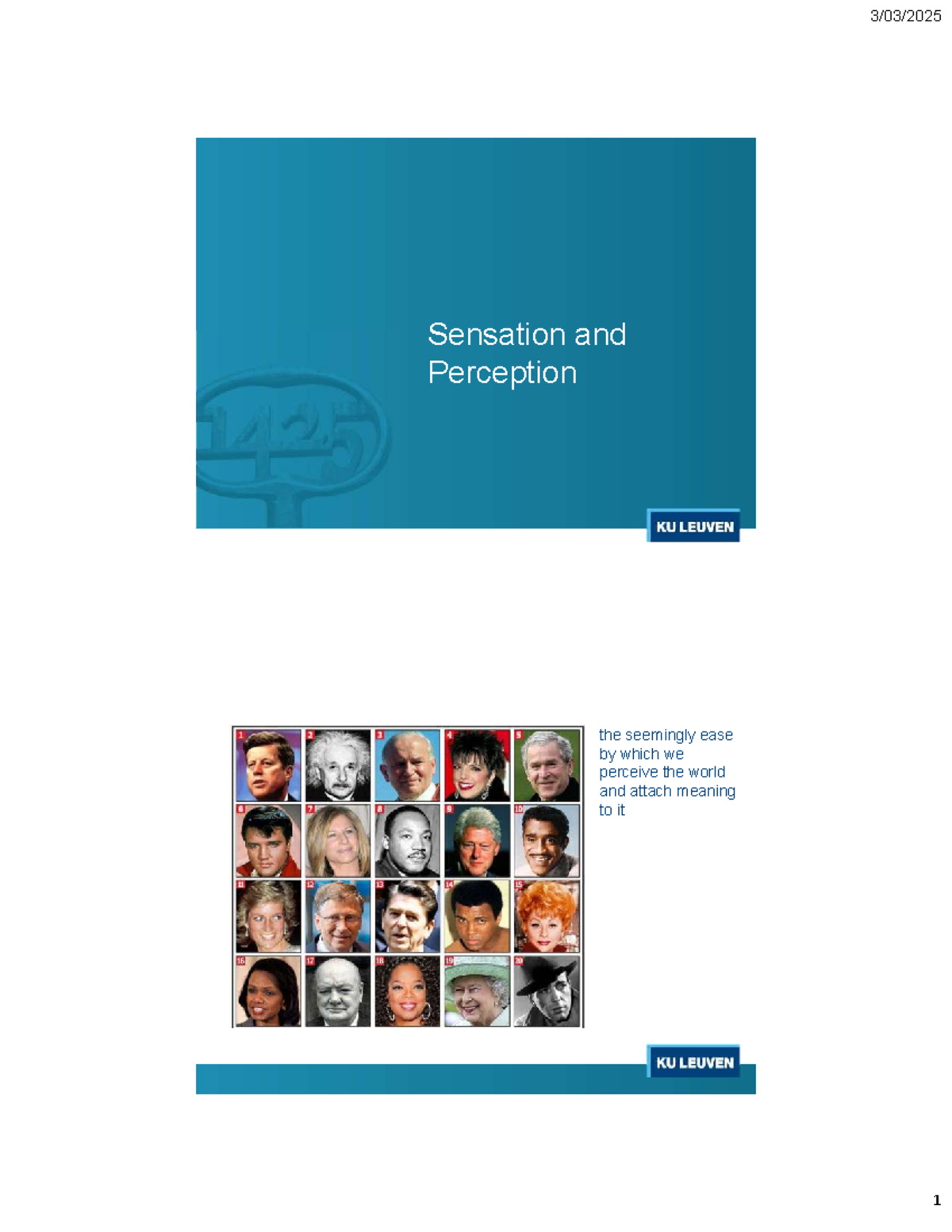 2025 Slides - Sensation & Perception Overview and Key Concepts - Studocu