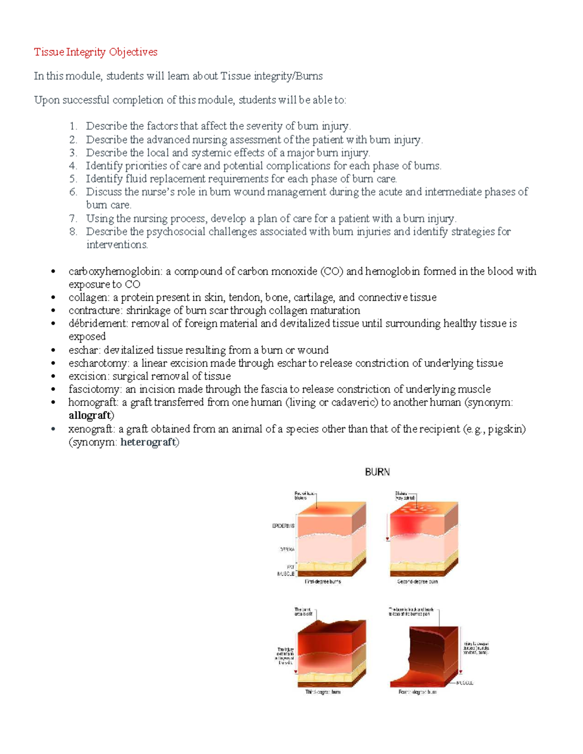 Tissue Integrity: Burn Management Objectives and Nursing Care - Studocu