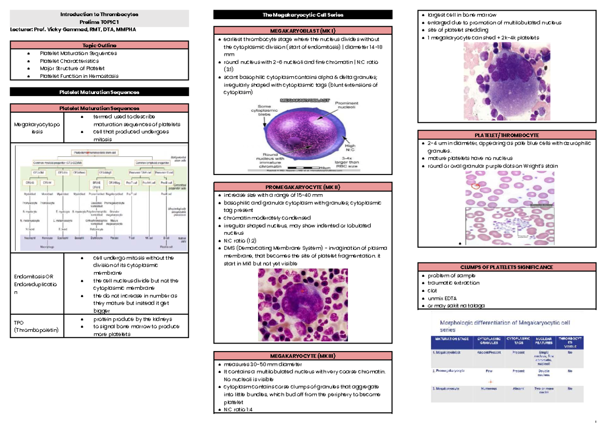 L1 HEMA 2 - Thrombocyte Development and Function in Hemostasis - Studocu