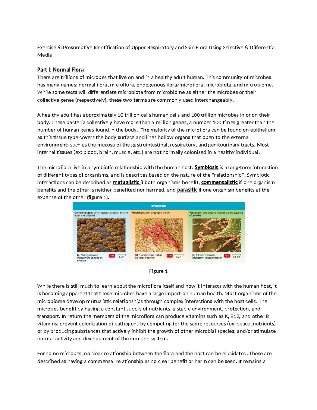 Exercise 6: Presumptive Identification of Upper Respiratory & Skin ...